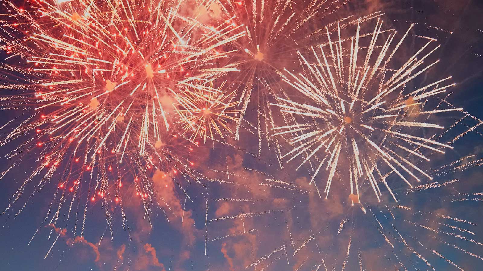 Home | Shrewsbury Flower Show